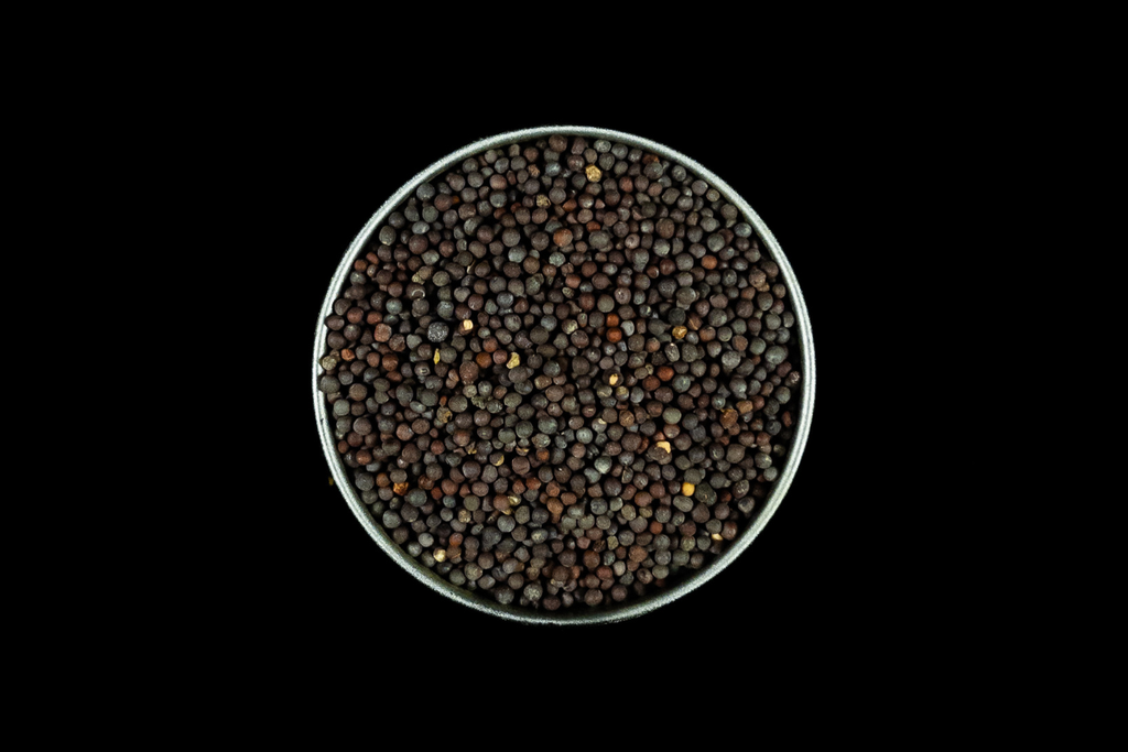 Senf Schwarz BIO Ganz - 80g | La Cucina | Tee & Gewürze